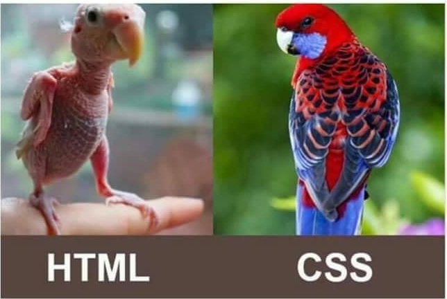 GitHub - WebAhead/css-workshop: An introduction to the basics of css