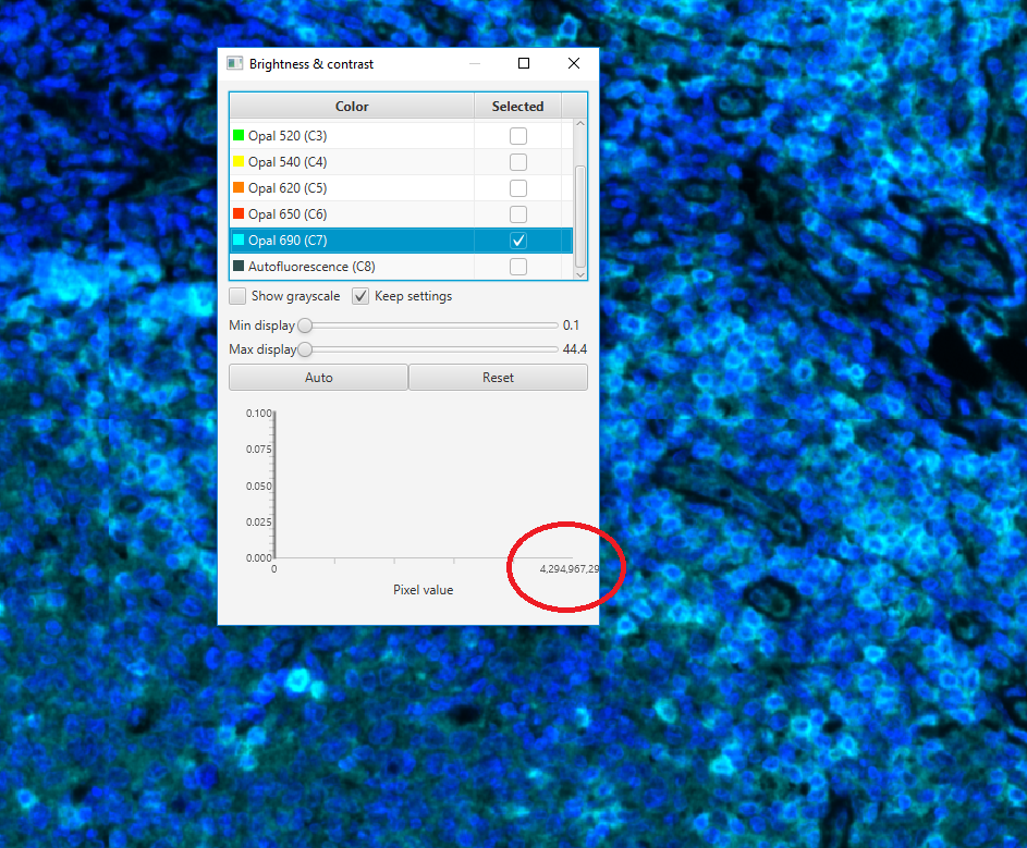 Unexpected scaling in intensity plots of multiplex IF images · Issue ...