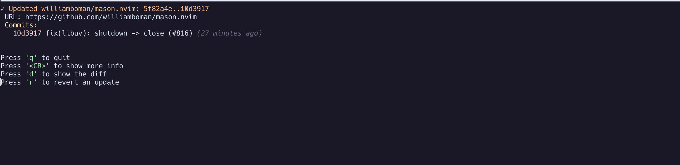 打开文件显示有问题 · Issue #388 · ayamir/nvimdots · GitHub