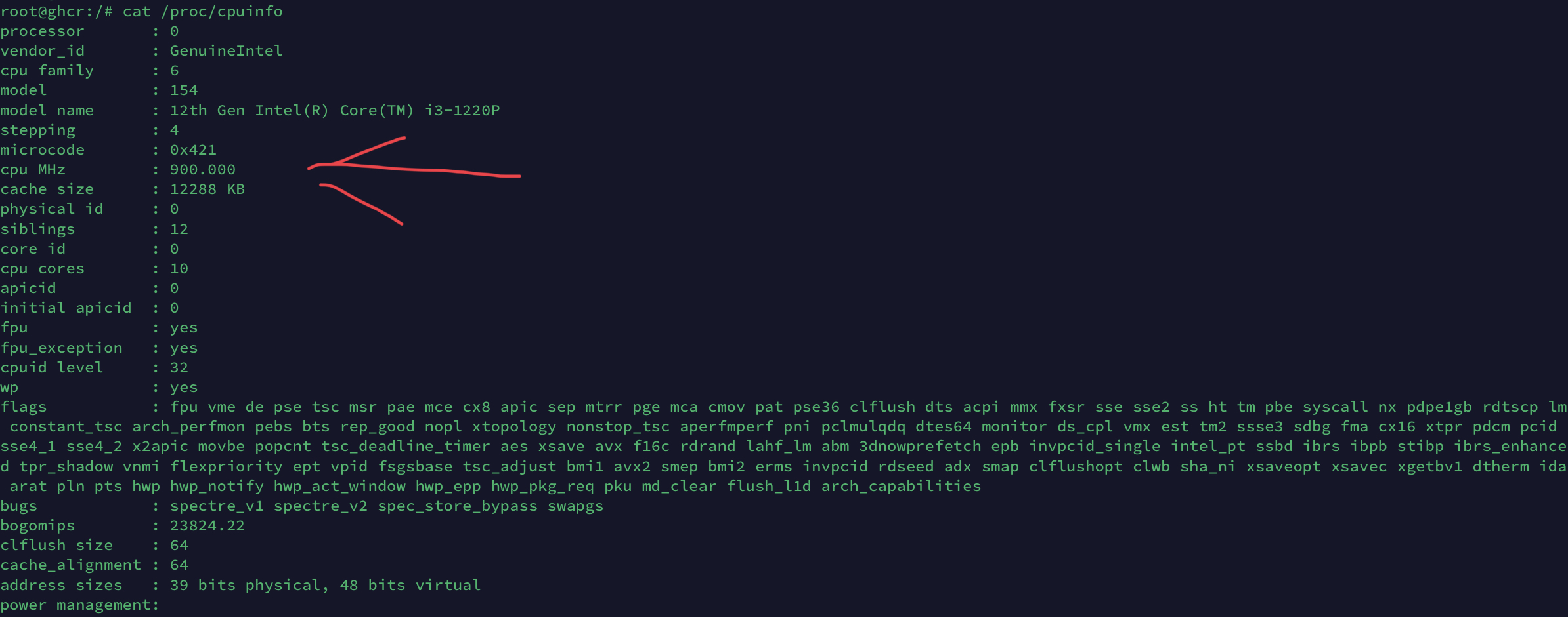 CPU Freq Issue / Question [Locked at 900Mhz] · Issue #680 · fbelavenuto/arpl · GitHub