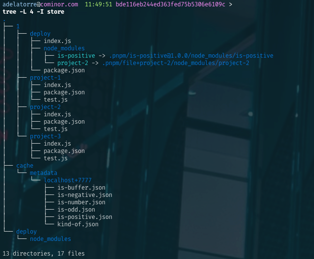 Permissions Denied When Using Deploy Command · Issue 4979 · Pnpmpnpm · Github 