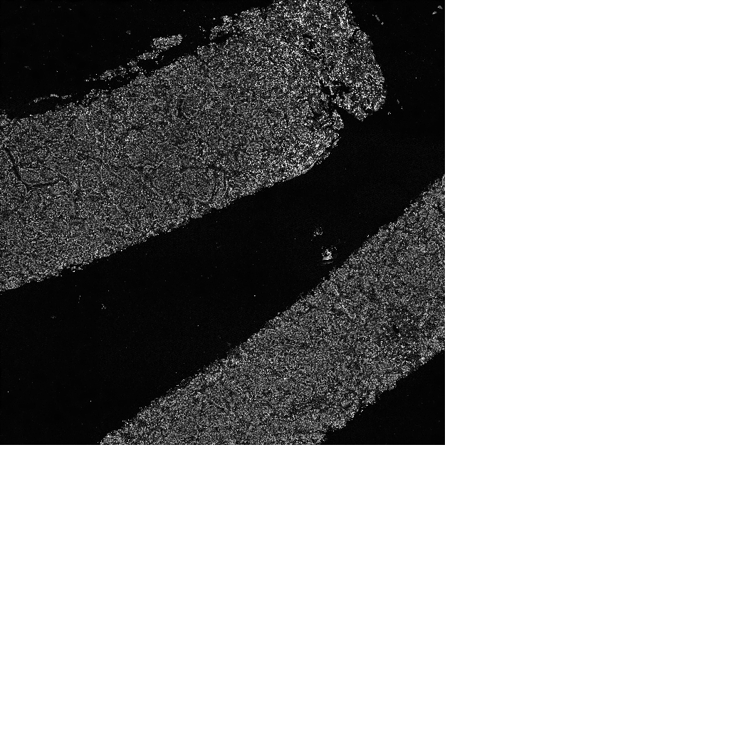 Non-transparent outside bounds with getTile for tifs without style · Issue #1186 · girder/large ...