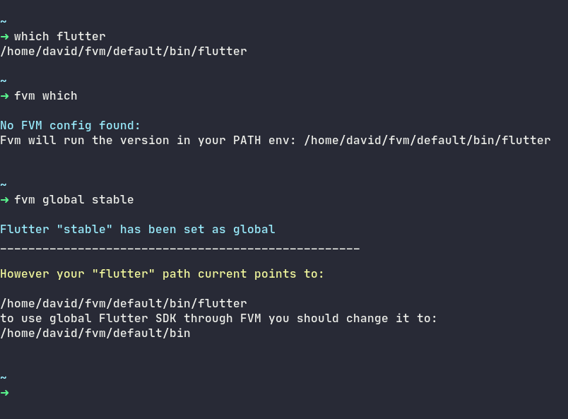 [BUG] New global command · Issue #248 · leoafarias/fvm · GitHub