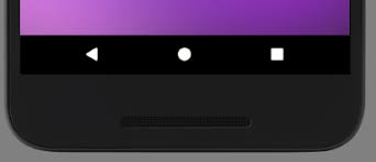 NullPointerException: Attempt to read from field 'int io.flutter.view.AccessibilityBridge ...