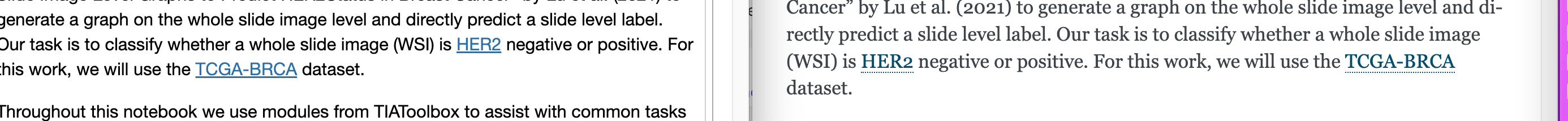 Visibility of Links in Read The Docs · Issue #450 · TissueImageAnalytics/tiatoolbox · GitHub