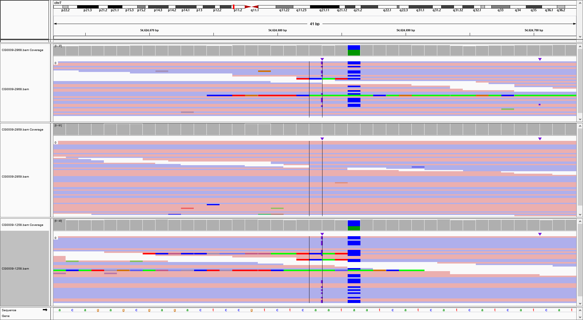 Question about QUAL in DeepTrio output · Issue #440 · google/deepvariant · GitHub