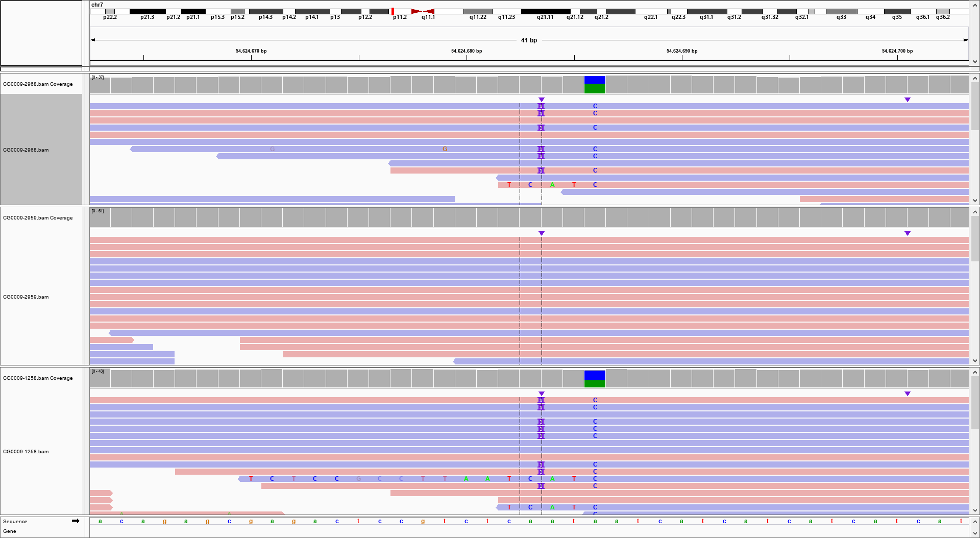 Question about QUAL in DeepTrio output · Issue #440 · google/deepvariant · GitHub