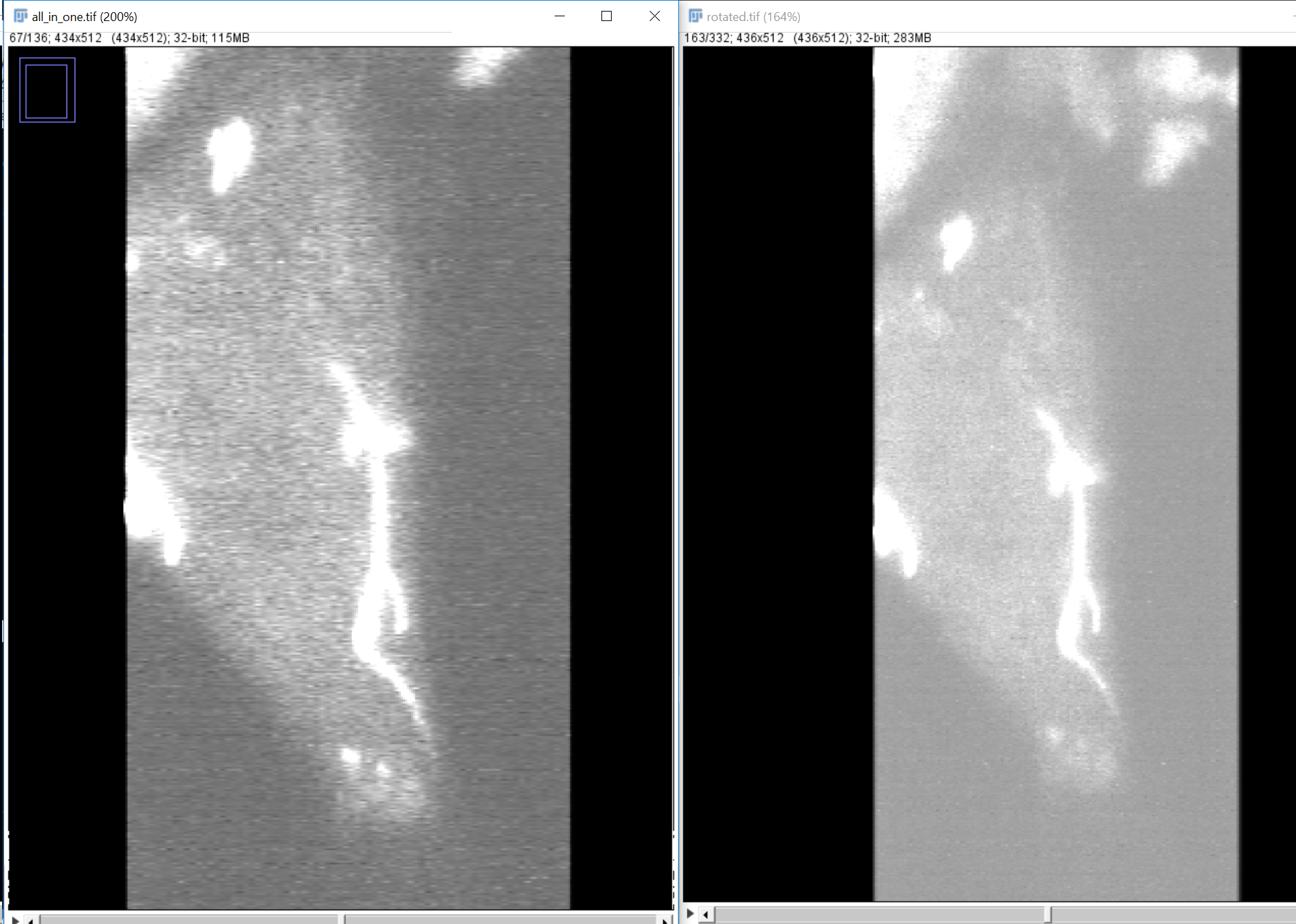 artefacts introduced by rotate to coverslip · Issue #22 · VolkerH ...