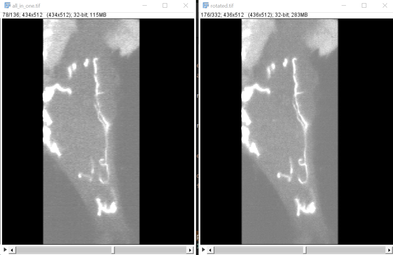 artefacts introduced by rotate to coverslip · Issue #22 · VolkerH ...