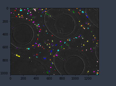 label2rgb -- explain how to make the background label transparent in ...