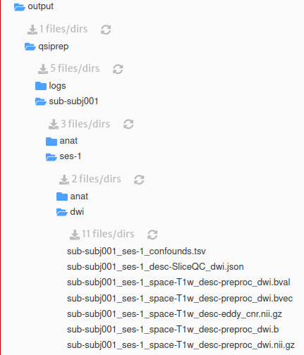 Final copy of dwi file to proper output folder errors with 'file not found' · Issue #4 ...