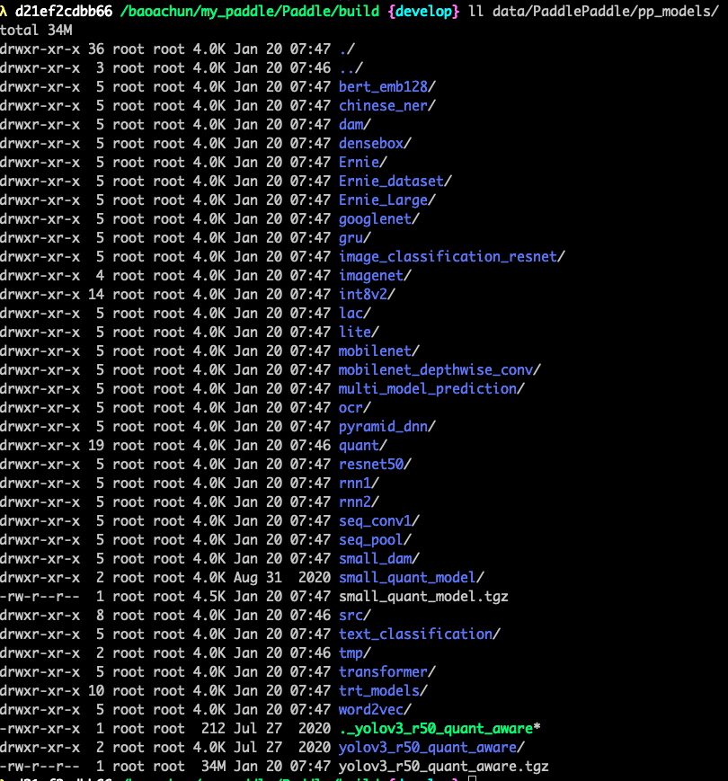 Drop of inference performance of model demark · Issue #38923 · PaddlePaddle/Paddle · GitHub