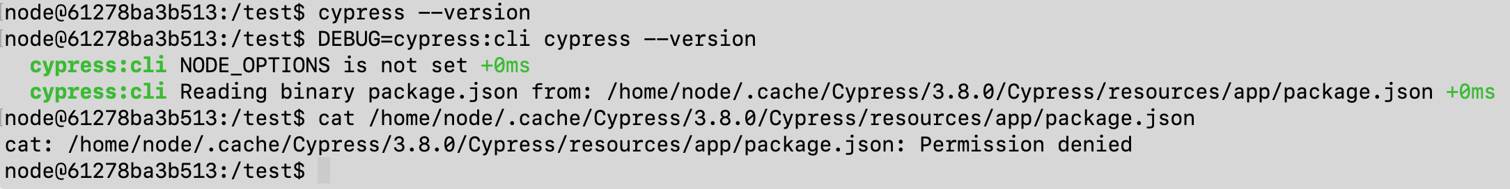 Cypress Npm Module Is Silent On Permission Error When Accessing The Test Binary · Issue 6014