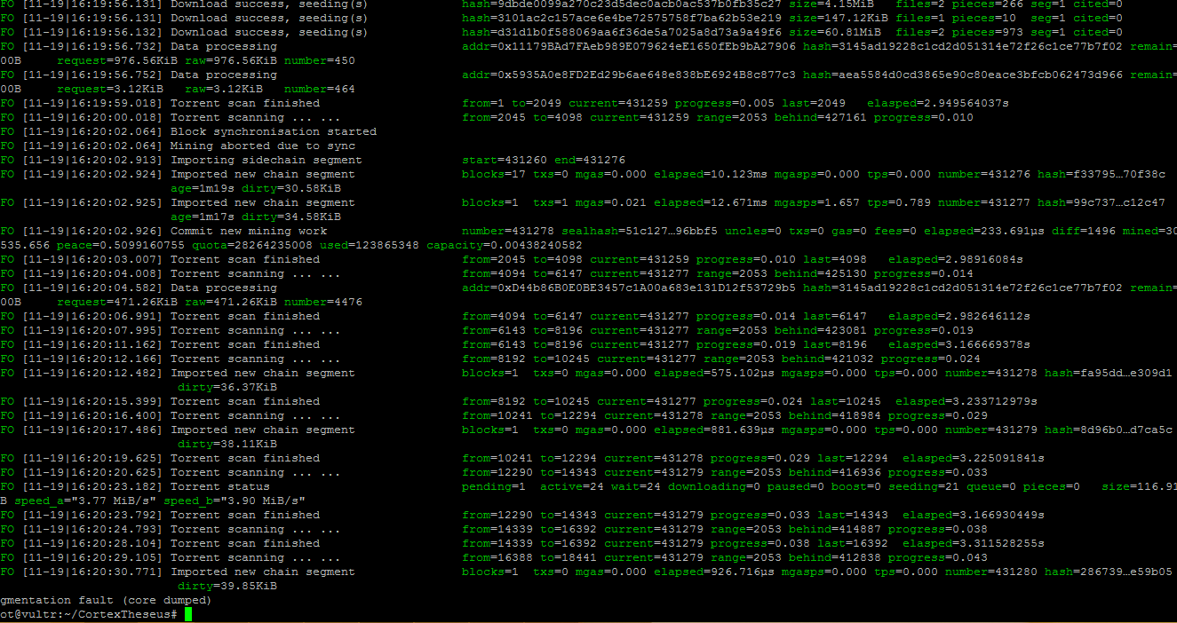 Segmentation fault (core dumped) · Issue #241 · CortexFoundation/CortexTheseus · GitHub