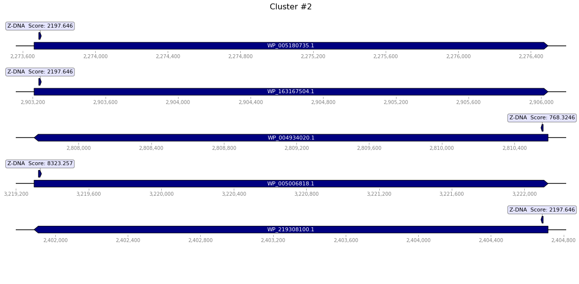 GitHub - dineev-vd/hse22_project