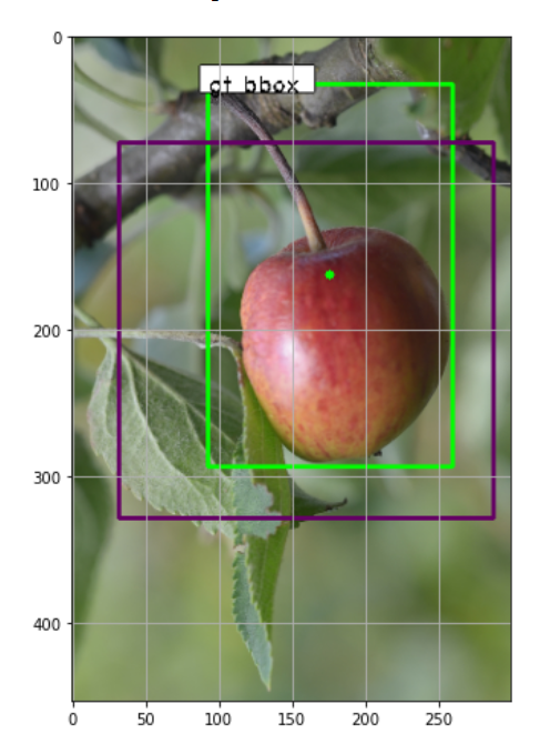 Printing Scores Accuracy With Which The Object Is Being Identified