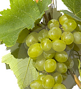 CV NearestNeighborInterpolation · Issue #397 · junxnone/aiwiki · GitHub