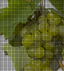 CV NearestNeighborInterpolation · Issue #397 · junxnone/aiwiki · GitHub