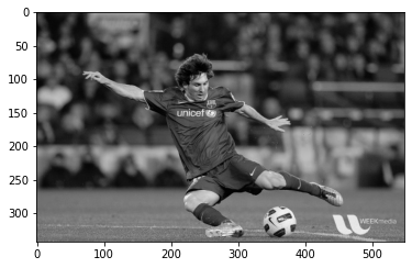 CV BIN · Issue #99 · junxnone/aiwiki · GitHub