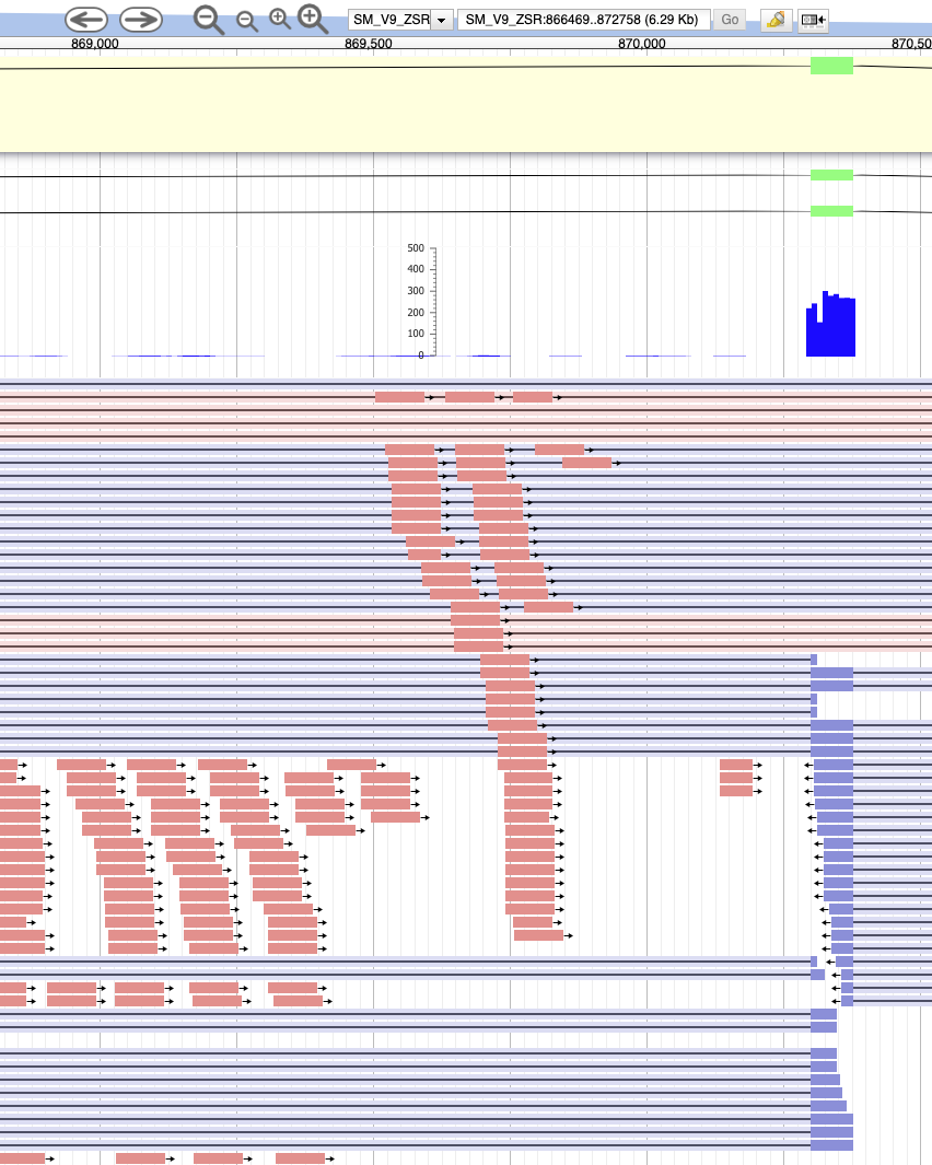Reads from BAM displayed within split-reads · Issue #151 · GMOD/Apollo3 · GitHub