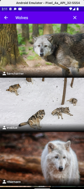 GitHub - AJMitchell21/Unsplash-Viewer