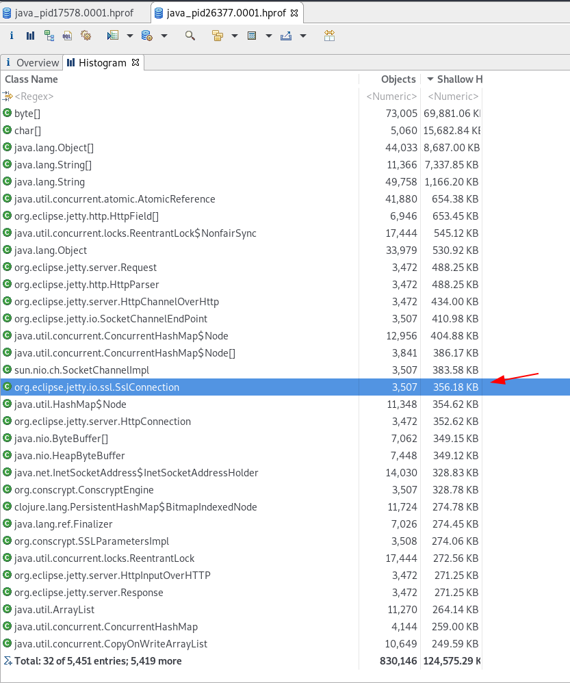 "Jetty 9.4.12" with "Conscrypt 1.2" provokes file descriptors leak ...