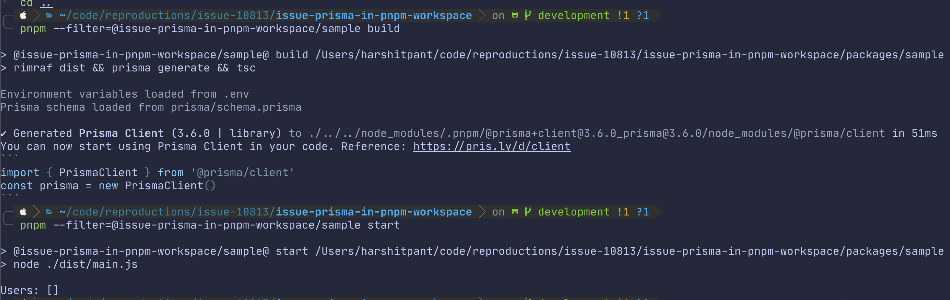 [PNPM Workspace] Error: Cannot find module '@prisma/client/runtime/index' · Issue #10813 ...