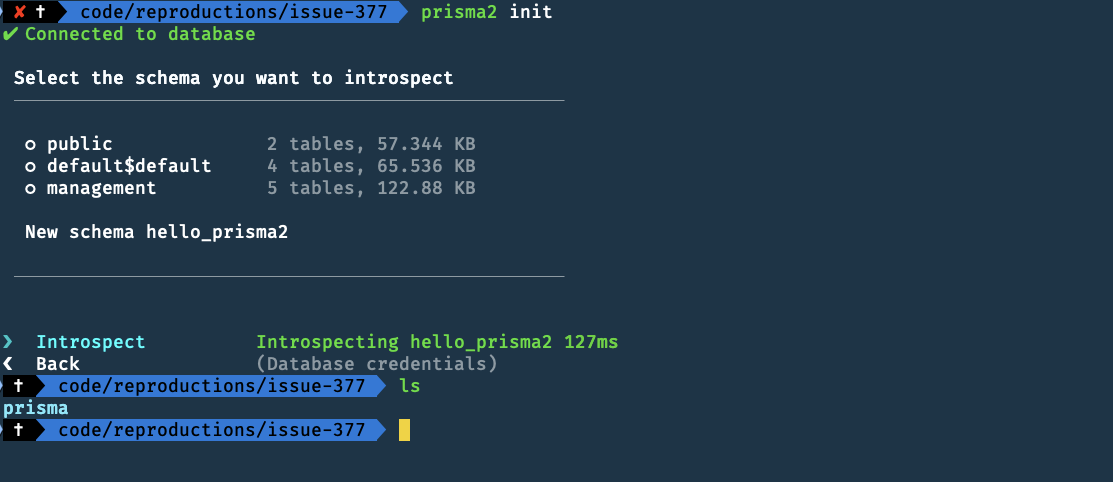 Init Hangs At Introspecting Database · Issue 377 · Prismaprisma · Github