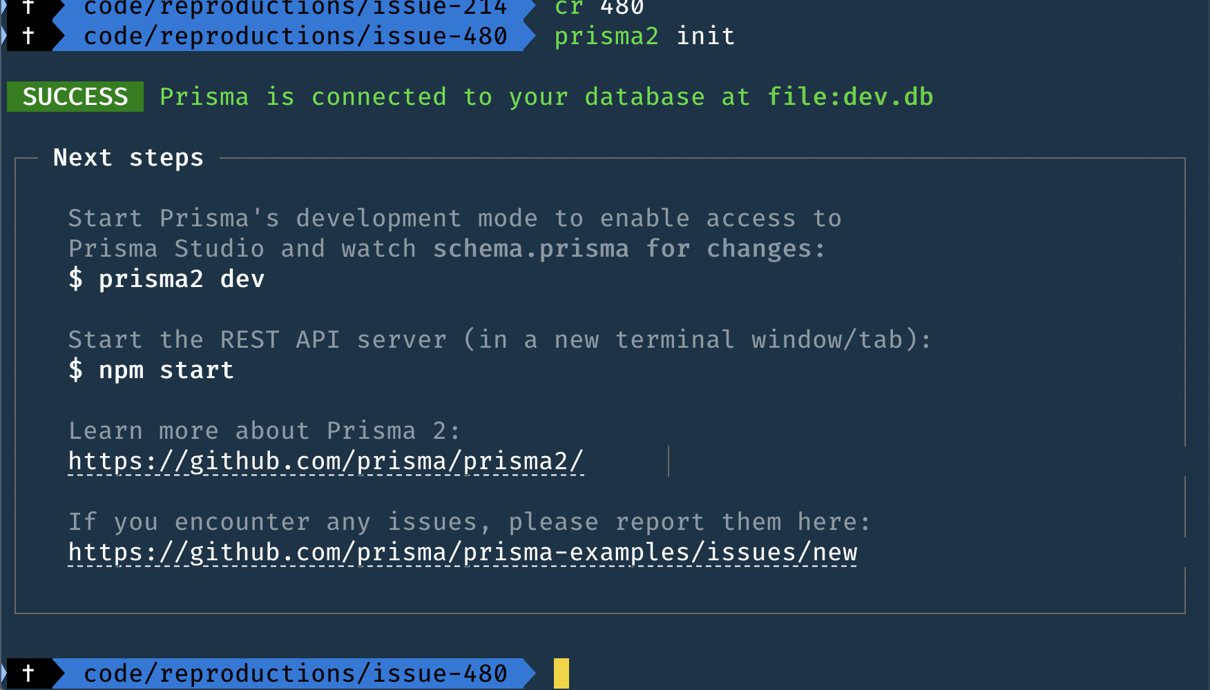 Minor UI issue with `init` flow · Issue #480 · prisma/prisma · GitHub