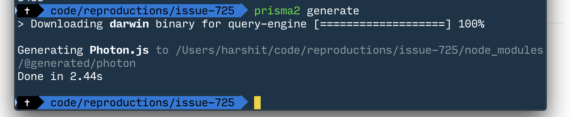 `prisma2 generate` keeps downloading query engine (or at least tells me it does) · Issue #725 ...