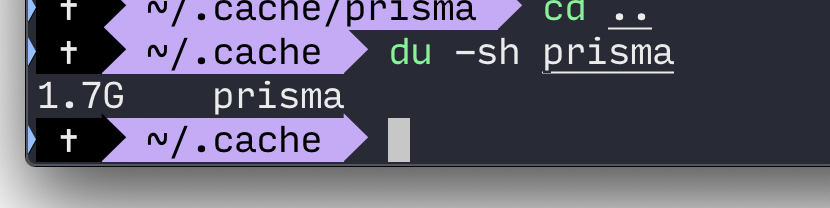 Automatically clean prisma2 binary cache · Issue #988 · prisma/prisma · GitHub