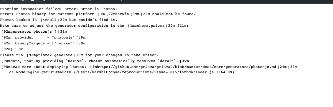 Prisma2 not working with netlify-lambda · Issue #1015 · prisma/prisma · GitHub