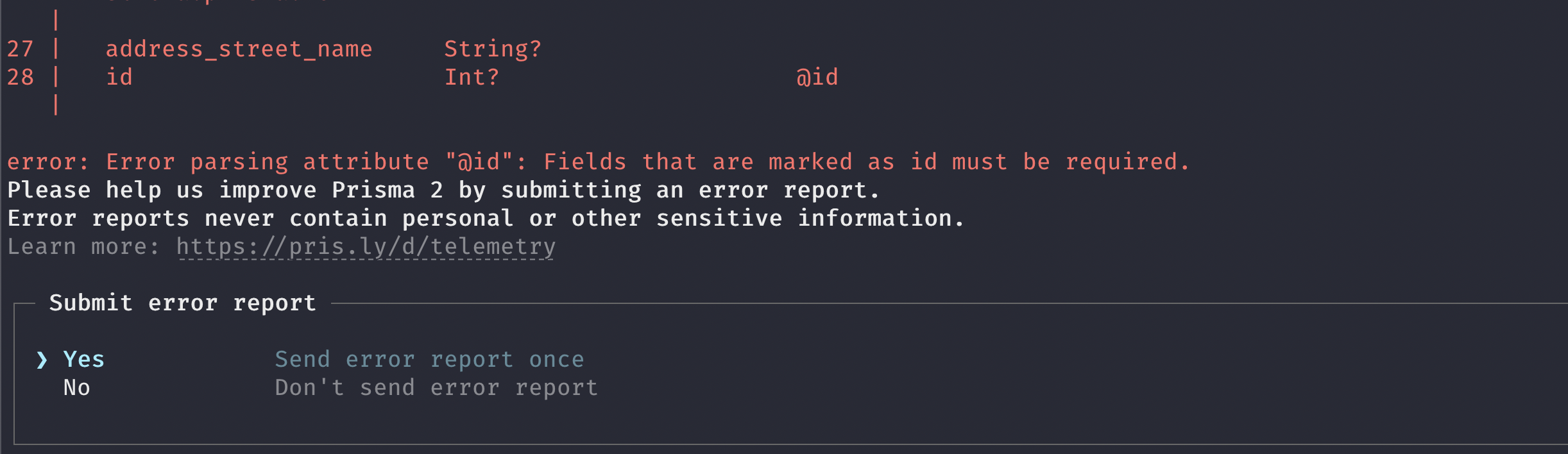 Introspection seems to have generated a Prisma schema but it's not stored on the file system ...