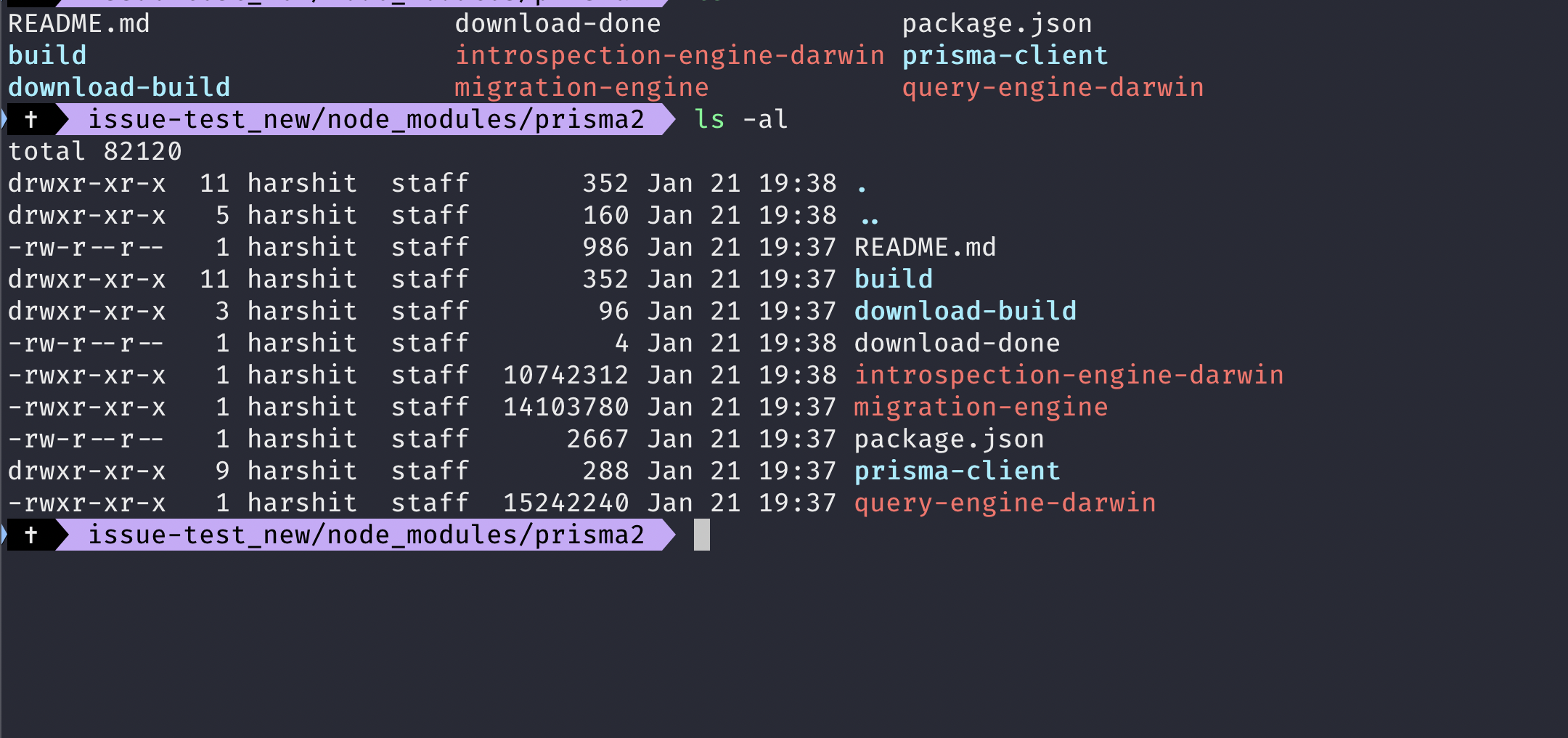 Inconsistent engine files names · Issue #1049 · prisma/prisma · GitHub