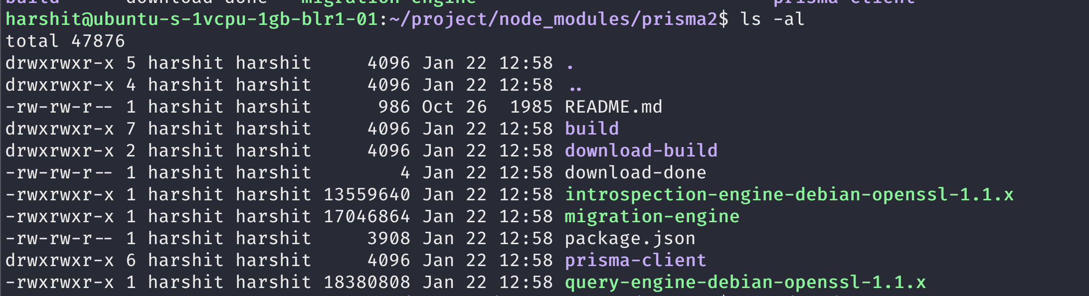 Preview 20 Fails To Install Prisma Engines On Linux · Issue 1400 · Prismaprisma · Github