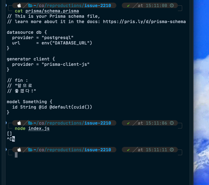 schema.prisma comment with double quote occurs error · Issue #2210 ...