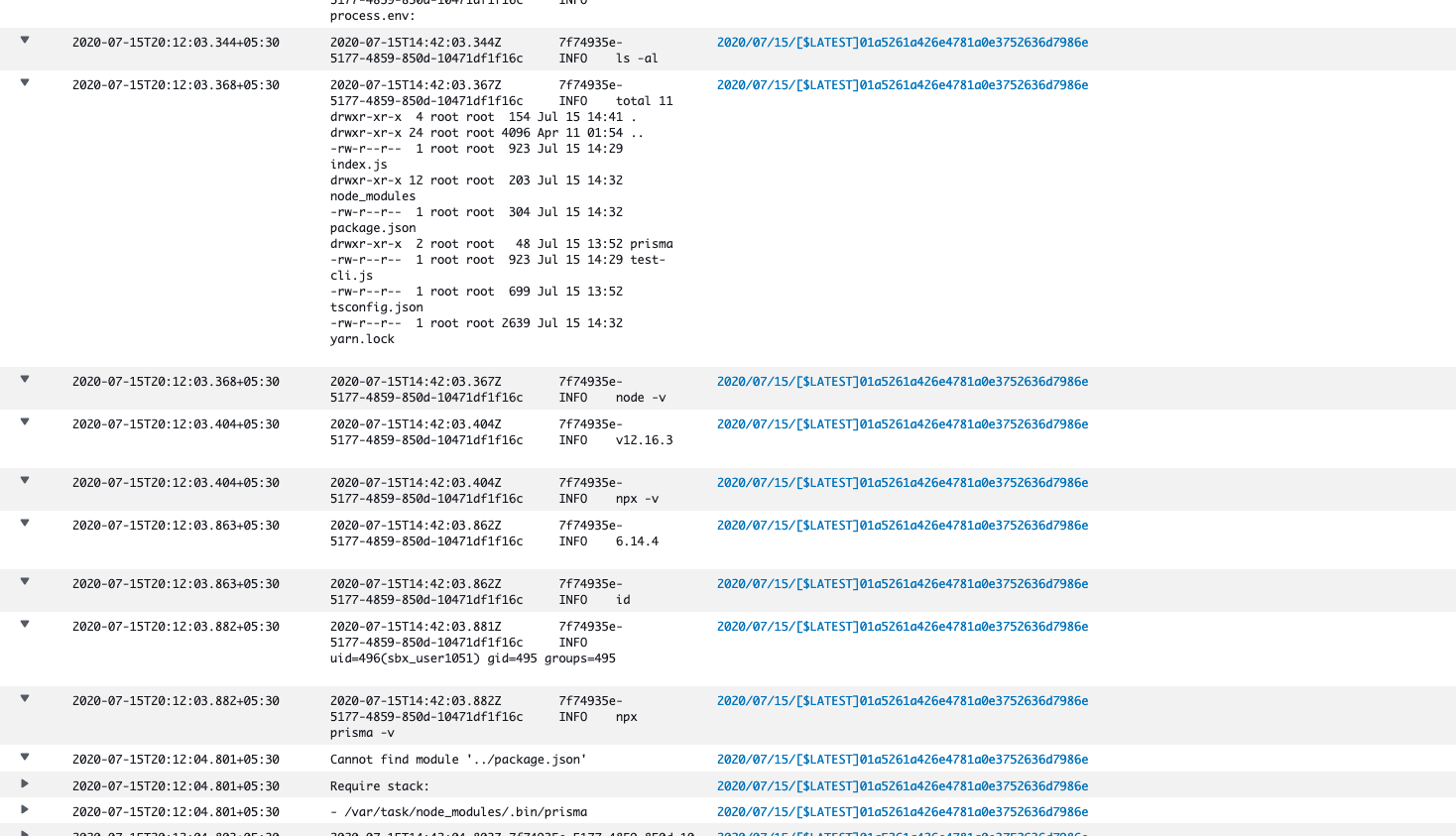 CLI won't run in AWS Lambda · Issue #2980 · prisma/prisma · GitHub