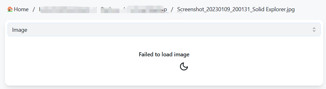 V3.8百度网盘看不到图片，视频可以 · Issue #2994 · alist-org/alist · GitHub