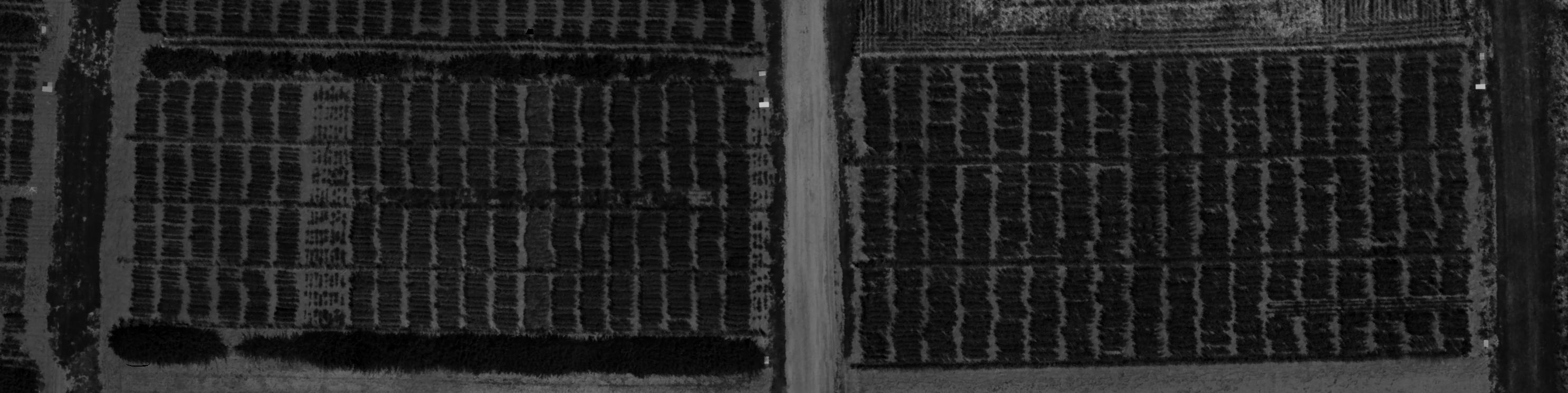 lens distortion causes bowing in orthophotos · Issue #650 ...