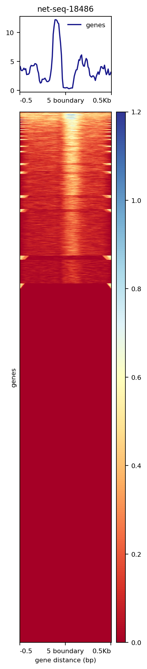 plotHeatmap discrepancy · Issue #670 · deeptools/deepTools · GitHub