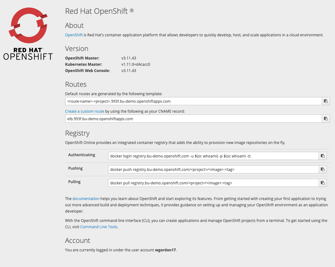 RFE - centralize information about route & registry in About page · Issue #1874 · openshift ...