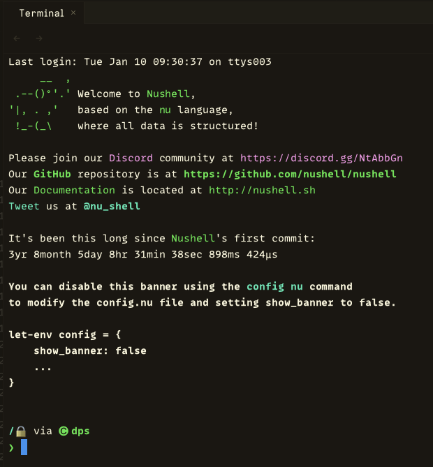 Terminal Always Starts With Root Directory Rather Than Opened Project Root Directory When Open 2072