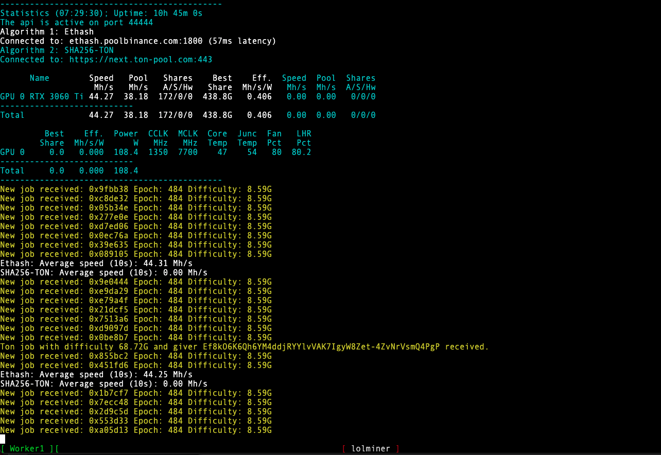 LolMiner 1.48 ETH+TON, Second Algorithm 0 Hash Rate · Issue #1498 ...