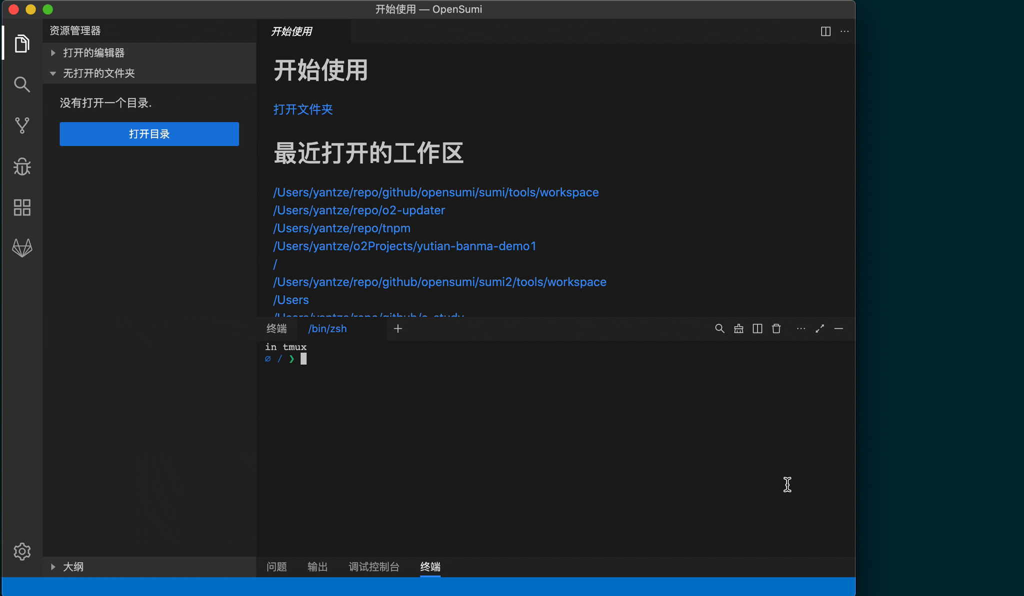 [BUG] 选择默认的 bash 作为 Shell，自动转为 zsh · Issue #543 · opensumi/core · GitHub