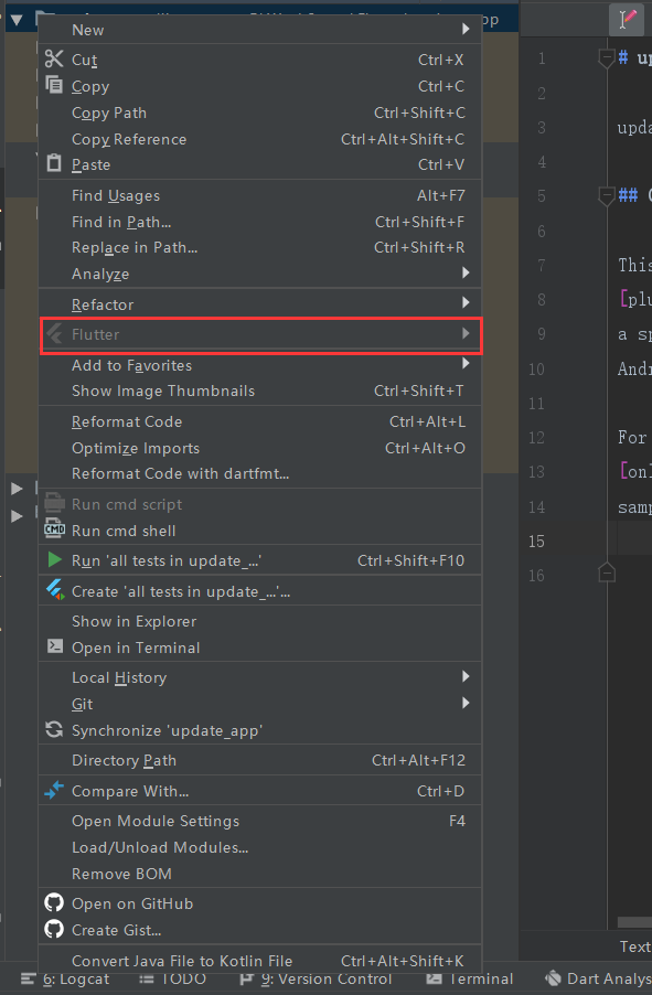 Open Android Studio from a Flutter app project · Issue #1063 · flutter/flutter-intellij · GitHub