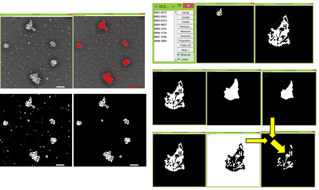 GitHub - rmd13/PFFdetection: detect contour of sonicated PFF( α-syn ...