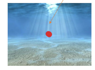 GitHub - devshaww/PoissonBlending: A group project of CG Optimization