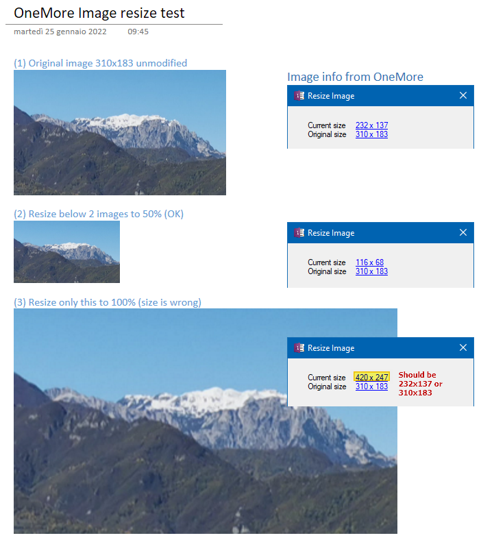 Resize the image to 100%, the size is wrong. · Issue #401 · stevencohn/OneMore · GitHub