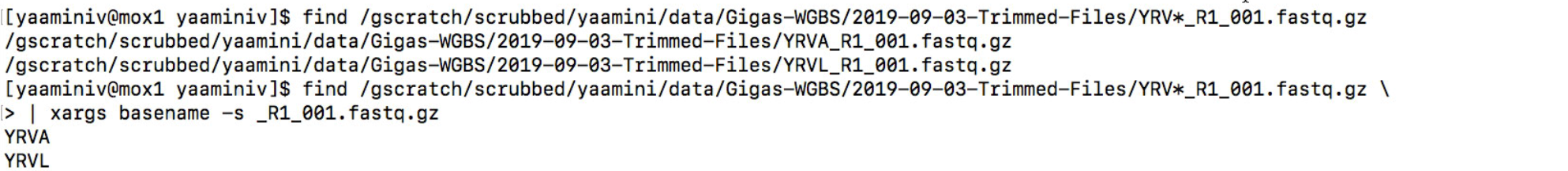 Error with bowtie/bismark on Mox · Issue #742 · RobertsLab/resources · GitHub