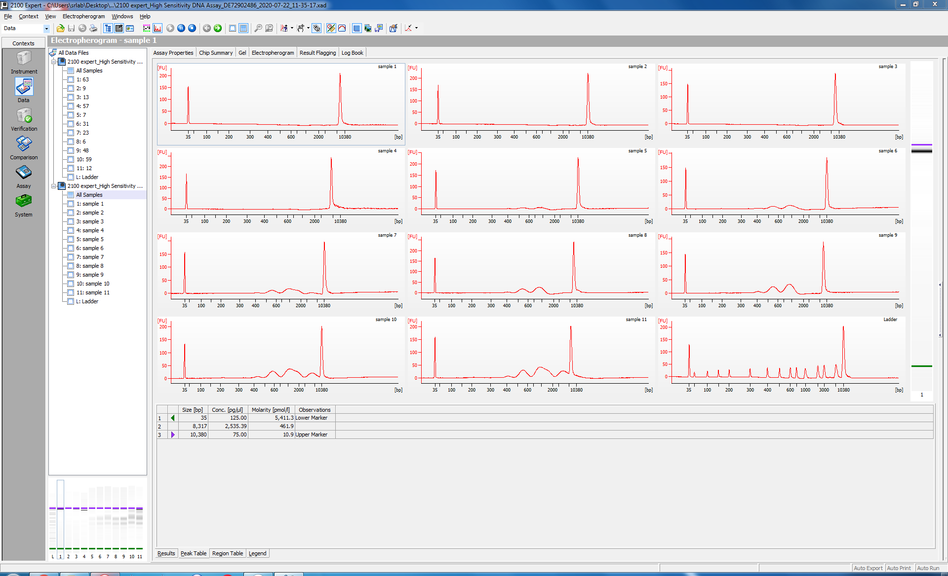 Trouble understanding BioAnalyzer results · Issue #966 · RobertsLab ...
